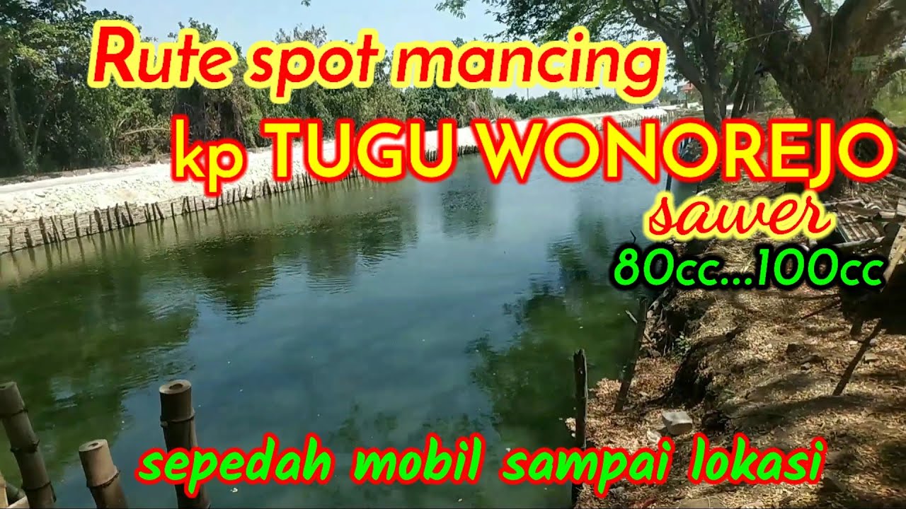 RUTE SPOT MANCING KP TUGU WONOREJO//INFO TERBARU MANCING HARIAN - YouTube