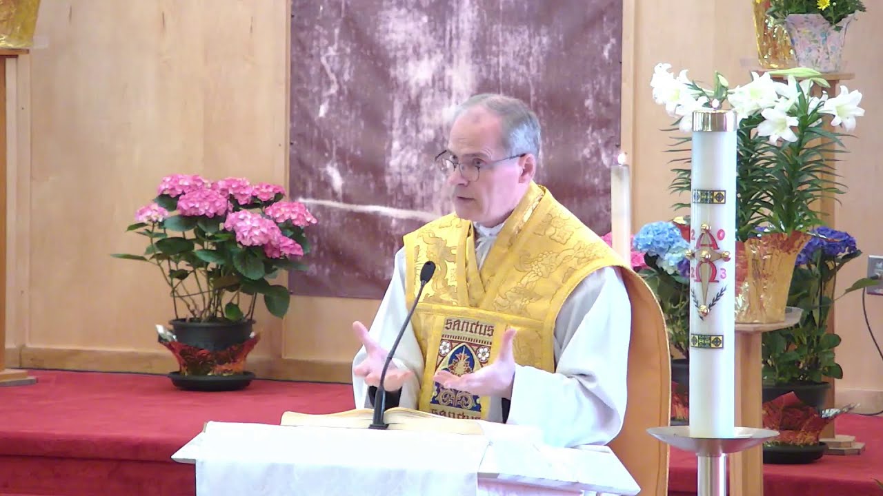 Homily - Friday April 14, 2023 - St. Aidan Parish by Fr. Steven - YouTube