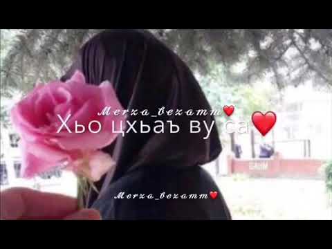 Марха Макаева красивая песня😻🌹