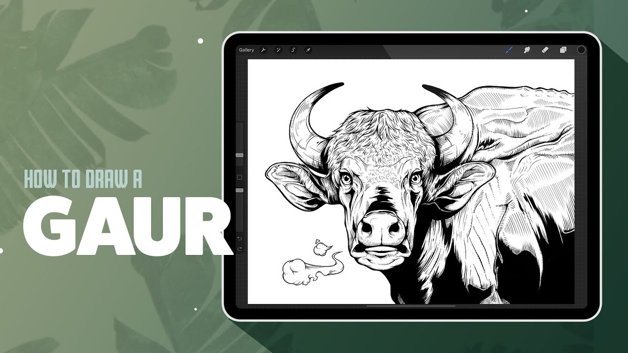 How to draw a Gaur? Easy and simple drawing | Sketch & pen drawing time ...