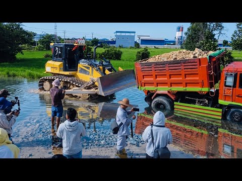 Great Amazing By Bulldozer PowerFul SHANTUI Pushes Land Sand Filling On Grass Forests