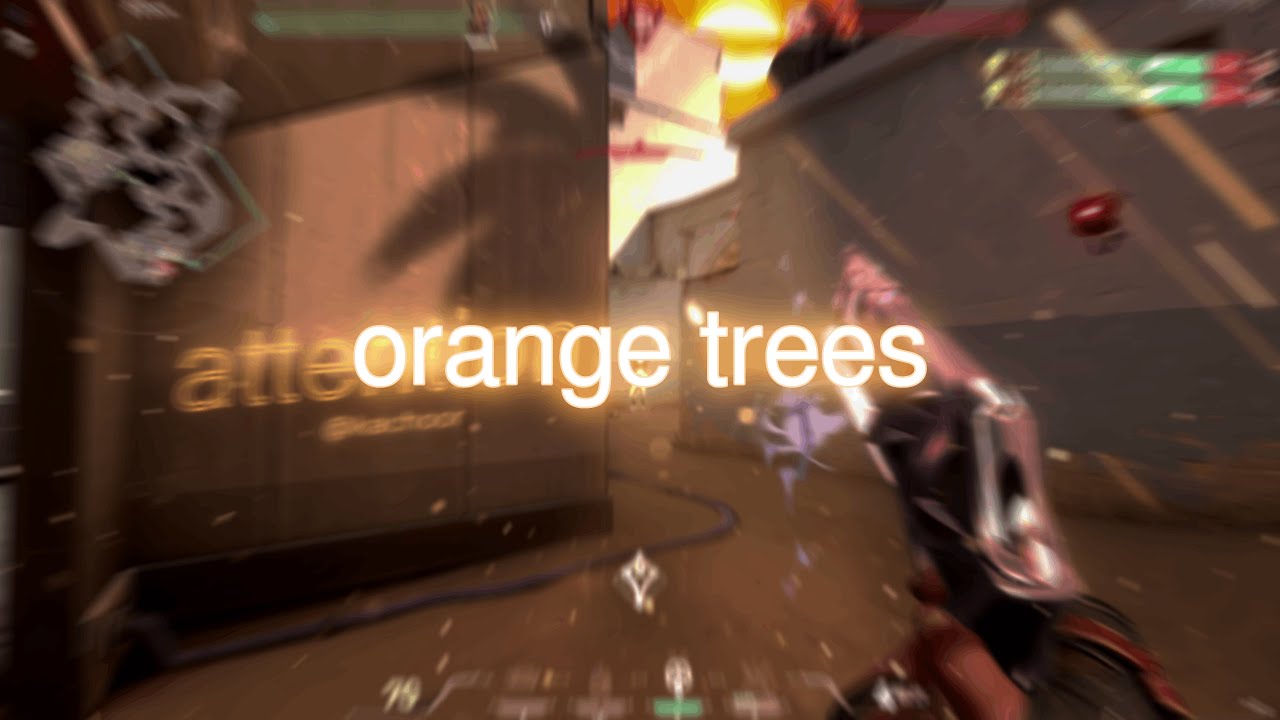 Orange Trees | Valorant Edit - YouTube