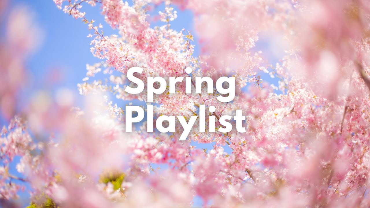 [Playlist] 첫눈에 반했나봄 | SPRING PLAYLIST - YouTube