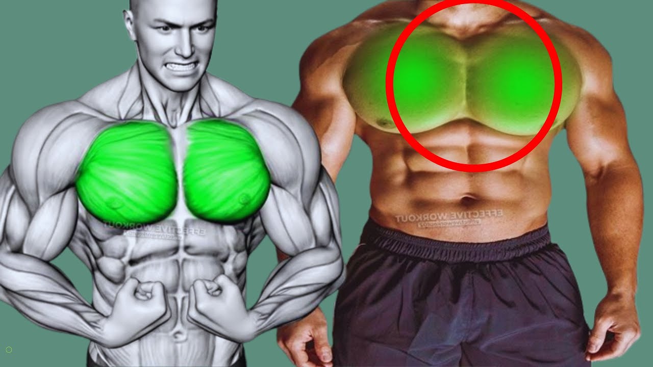 5 Best Chest Exercises to Build Bigger, Stronger Pecs Fast - YouTube