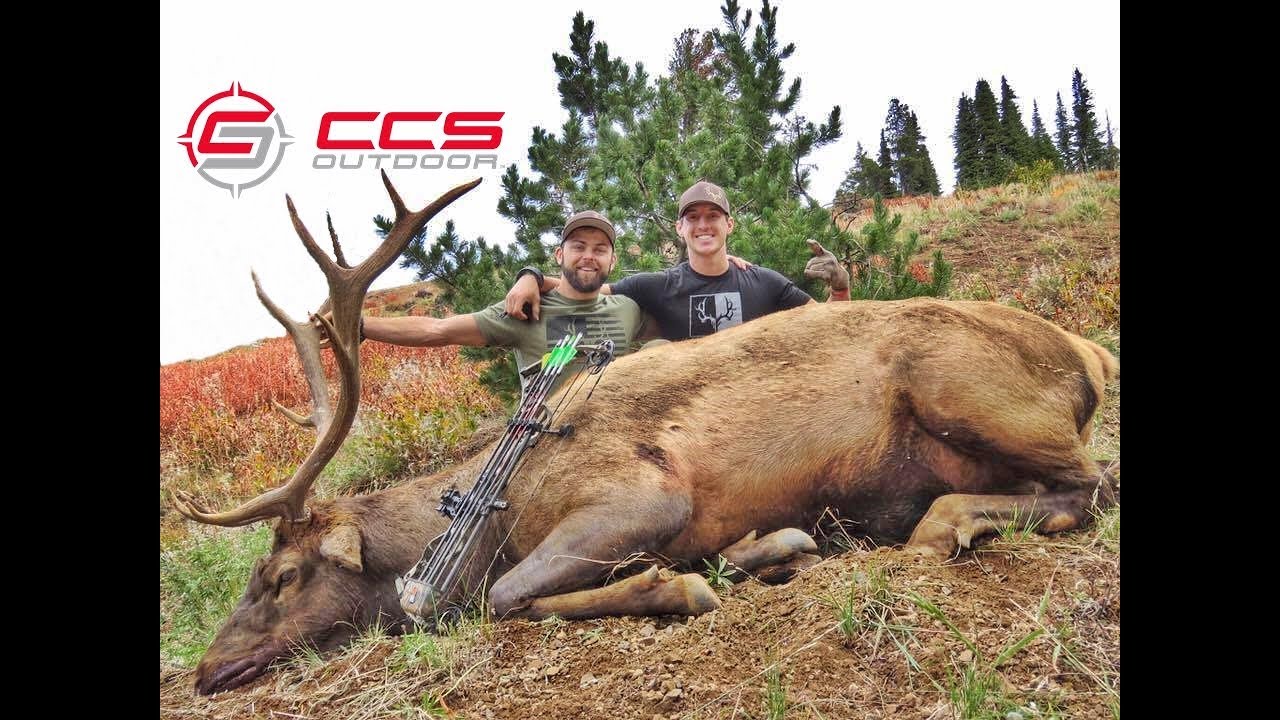 High Country Archery Elk Hunt - Giant Bull with Drop Tine - YouTube