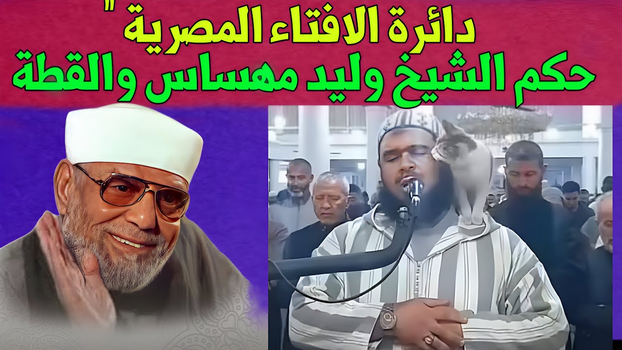 الشيخ وليد مهساس والقطة تدخل دائرة الافتاء المصرية ماحكمها Youtube
