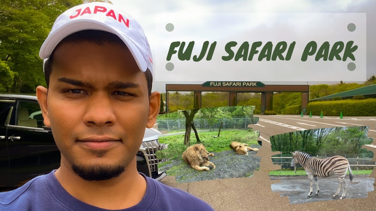 ජපානයේ නොදකින සතුන් එලිමහනේ｜fuji safari park japan - YouTube