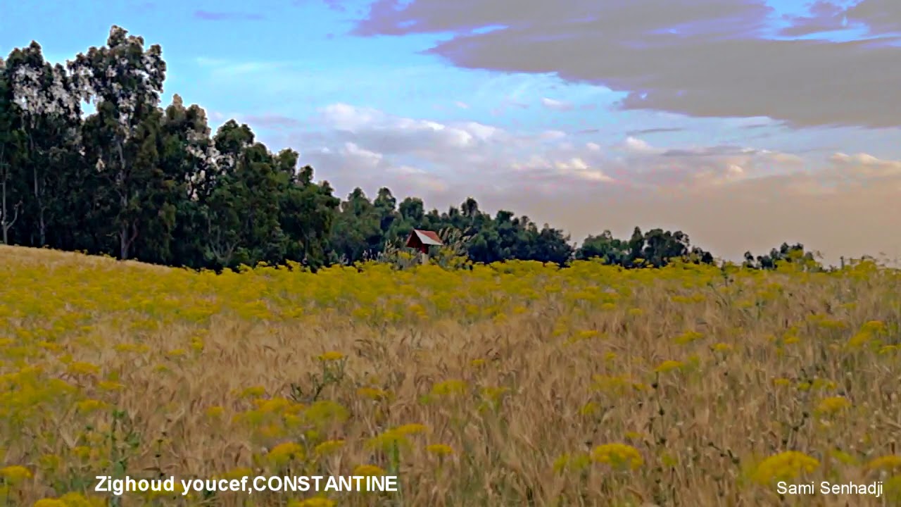 zighoud youcef HDR video, زيغود يوسف،قسنطينة - YouTube