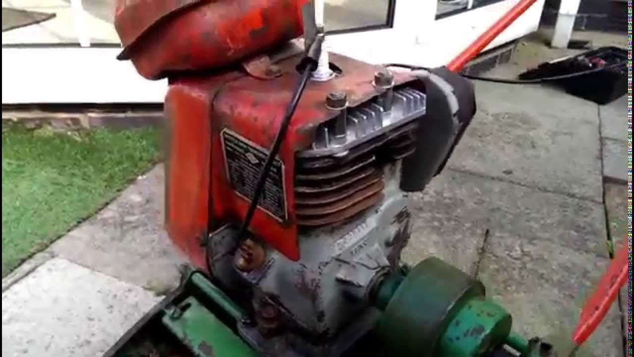 Suffolk Colt - YouTube