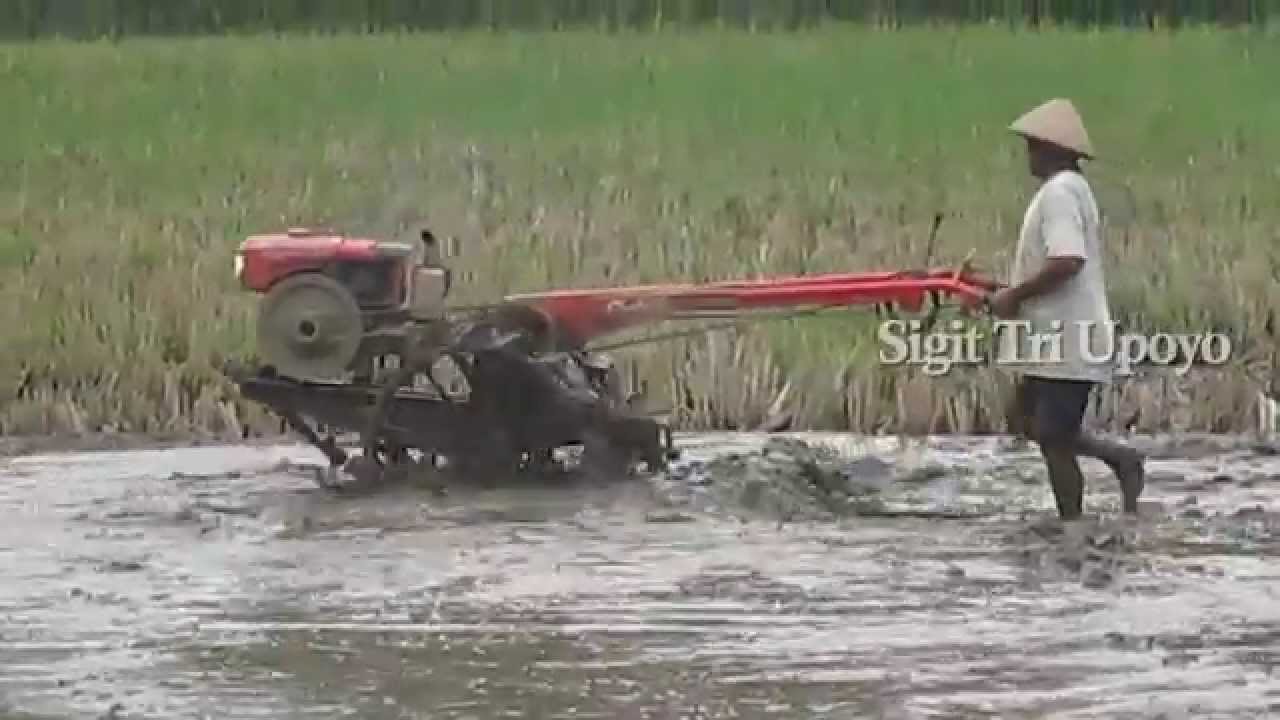 Kubota Hand Tractor Preparing Rice Field - YouTube