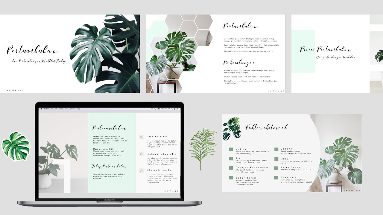 Free download |How to make aesthetic ppt|Ppt biologi kls 12 ...