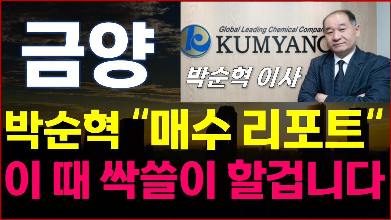금양 박순혁 이사 매수 리포트 이 때 싹쓸이 할 겁니다 리튬 금양주가 금양주가전망 박순혁 박순혁이사 에코프로 에코프로비엠