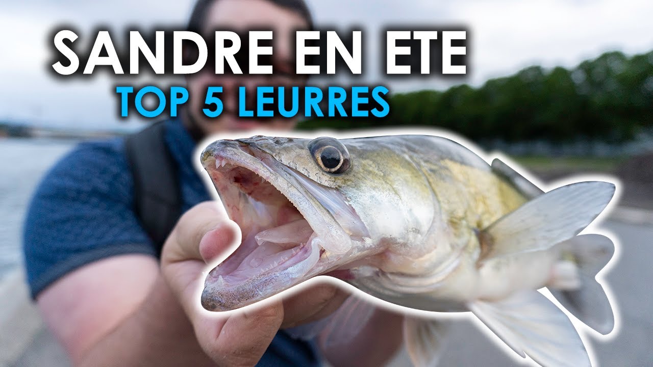 Top 5 Leurres Pour Pêcher Le Sandre En ÉtÉ Du Bord Youtube