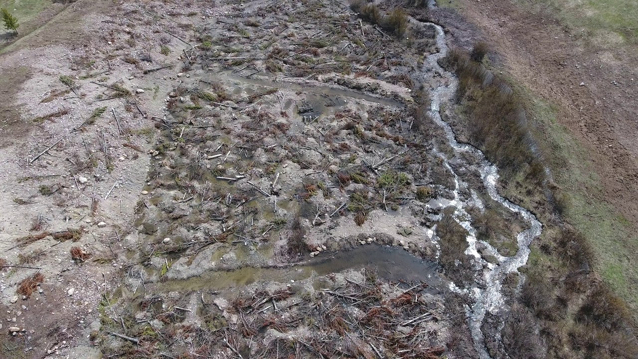 Watch 1,200 feet of a newly reconstructed stream system come to life ...
