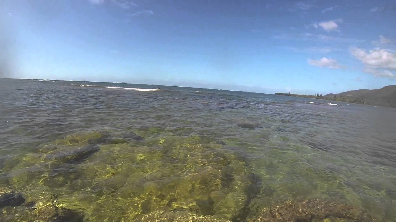 ultra light fishing in yaté - YouTube