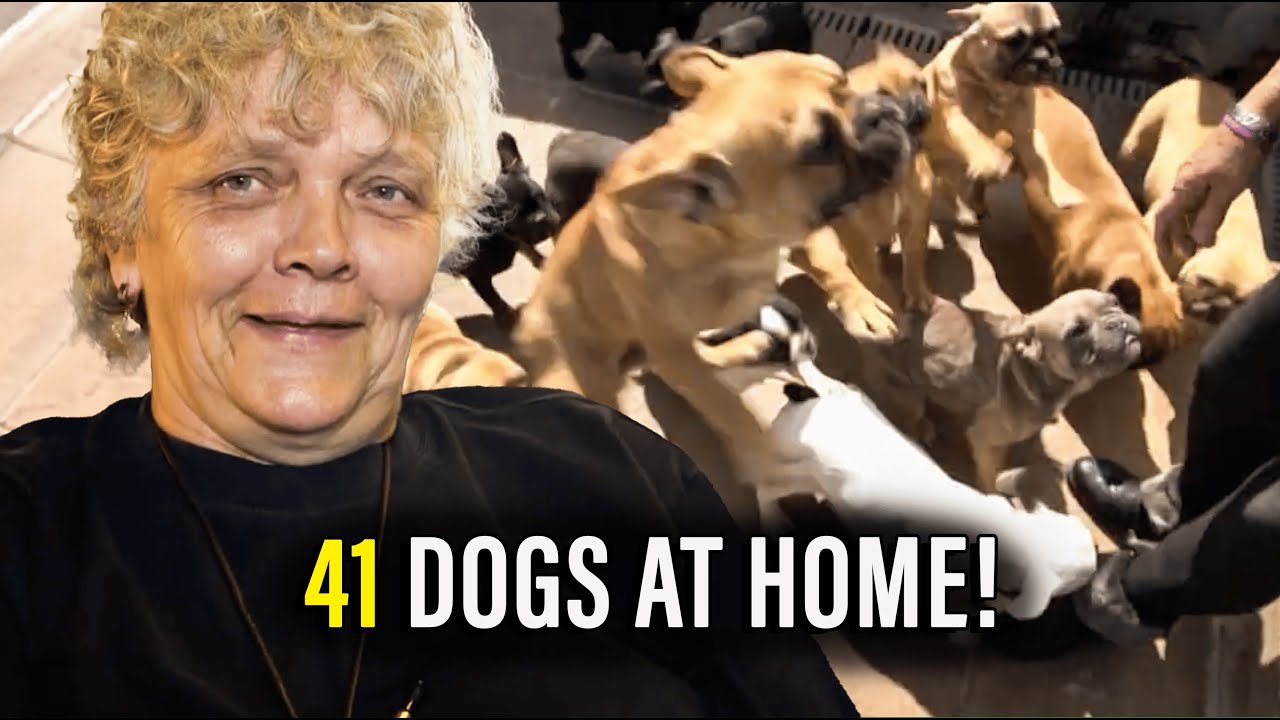 She Rescued 41 DOGS and Lives With Them - Animal Documentary - YouTube