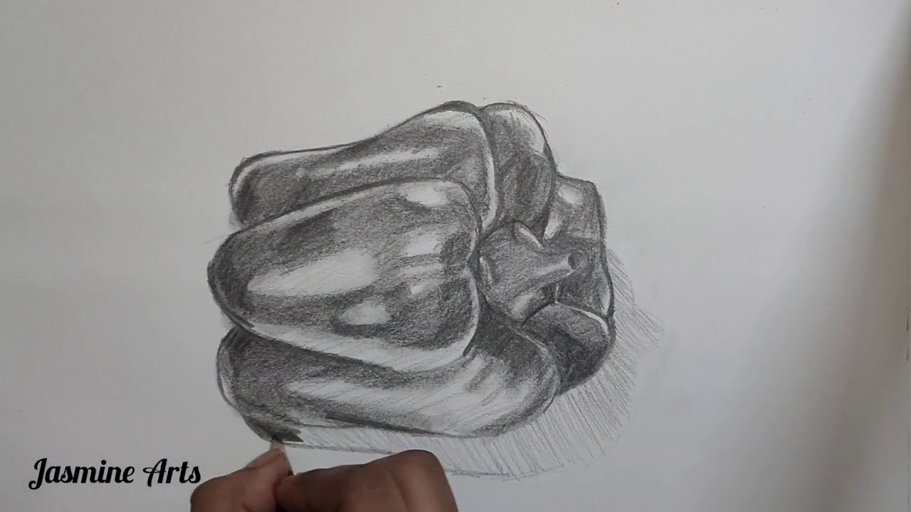 How to draw and shade a capsicum | Jasmine Arts - YouTube