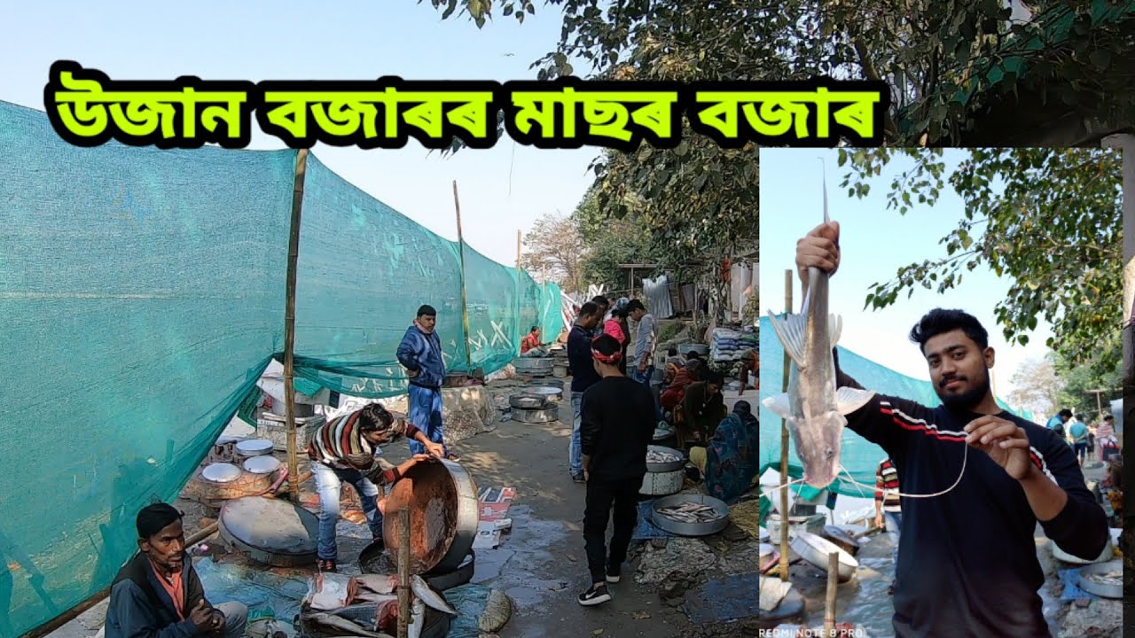 উজান বজাৰৰ মাছৰ বজাৰ | uzan bazar fish market | uzan bazar fish market ...