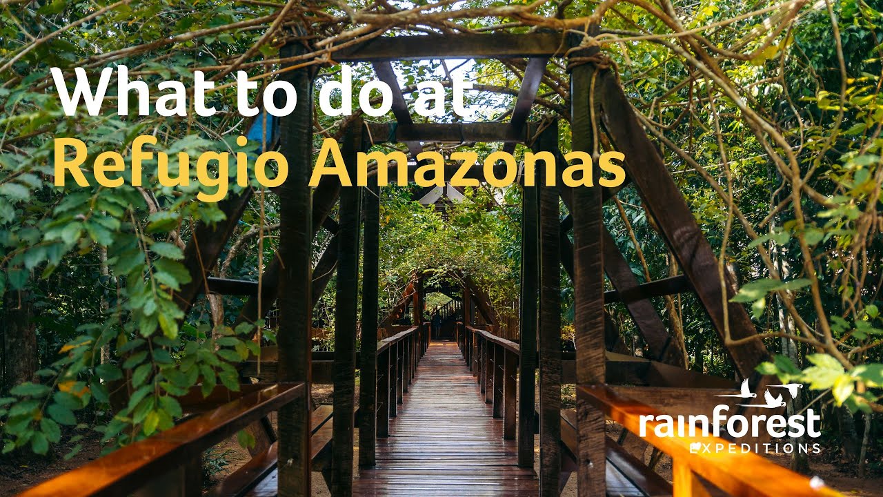 What to do at Refugio Amazonas - Explained by an expert guide # ...