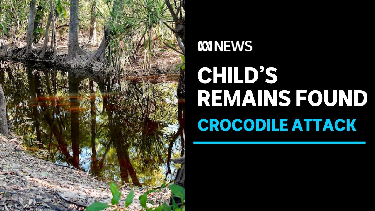 Remains of missing girl found after being taken by crocodile in NT | ABC News - YouTube