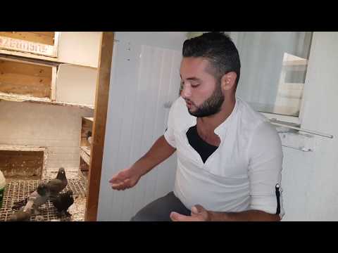 KAÇAK KAÇTI KEPEZ KAÇTI  ARAP BABAYI DOĞAN ALDI