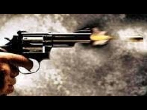 Mahadev Gang and King Cobra 🤡 | HTRVM | Madout2 - YouTube