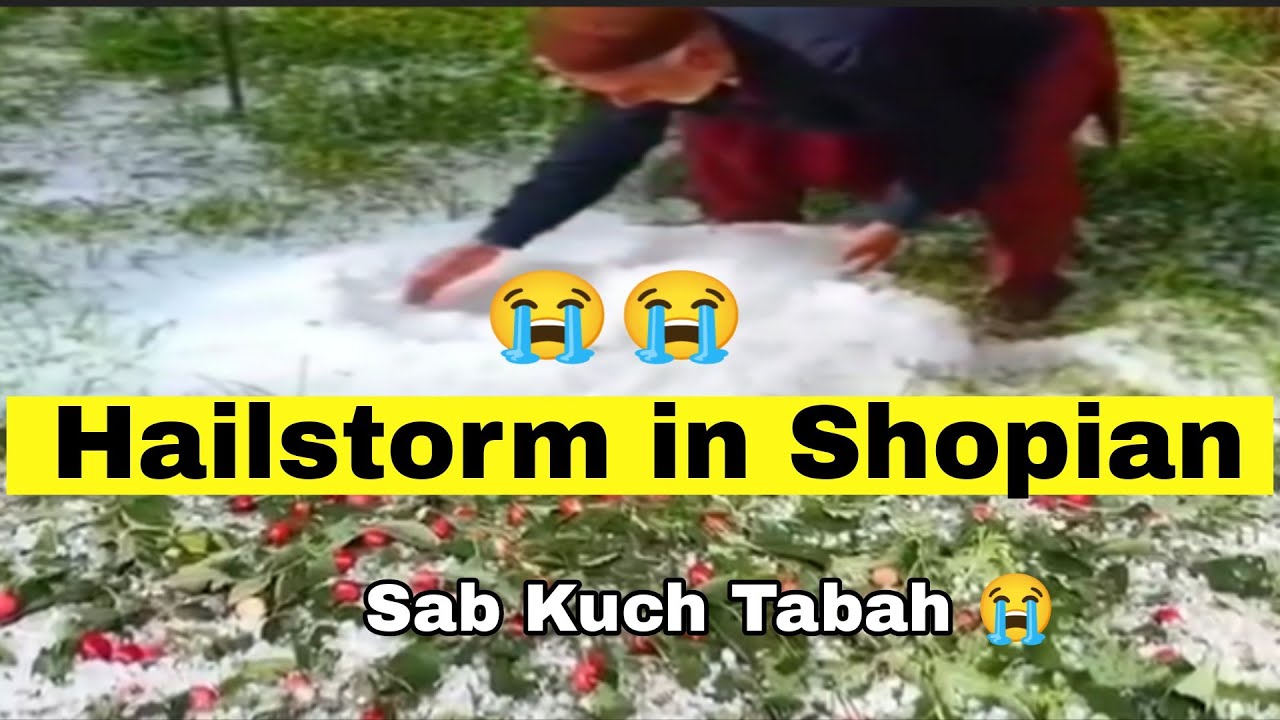 Hailstorm in Shopian Today!!Shopian Handew Nagbal Hailstorm!!#shopian # ...