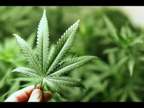 Halliyam halli👍😁