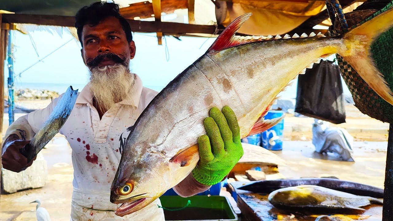 Filleting Talang Queenfish Fish - YouTube
