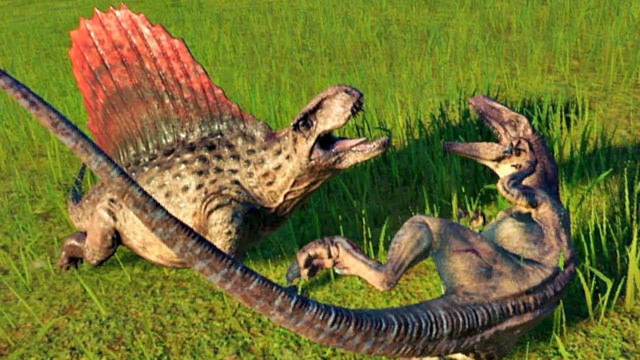 Dimetrodon Vs Velociraptor #jurassicpark dinosaurs #asmr fighting - YouTube
