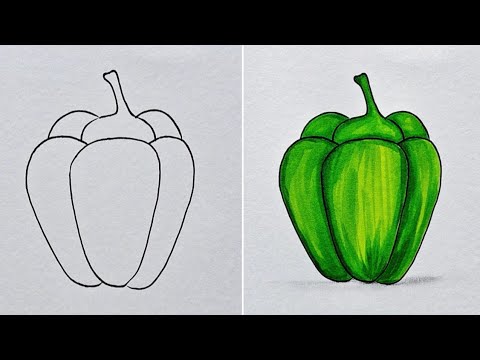 How to draw a capsicum | Capsicum drawing | Easy vegetable drawing ...