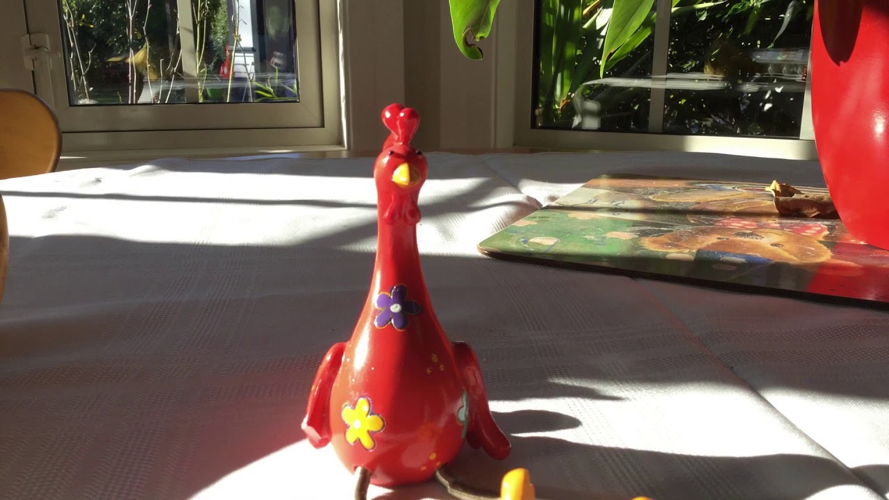 Chicken go splat - YouTube