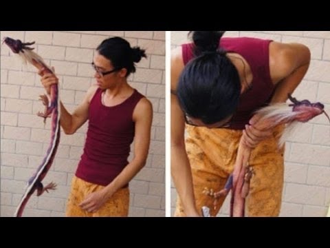 Real Life Dragon Sightings - MUST SEE! - YouTube