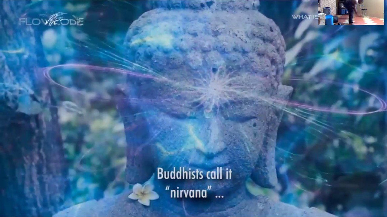 CAPOEIRA-ANIMAL FLOW STATE TRIGGER for Autotelic Training mindset by ...