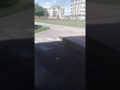 Tuvalete ses çıkıyor
