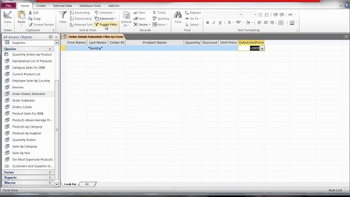 Access 2010 Report Filter