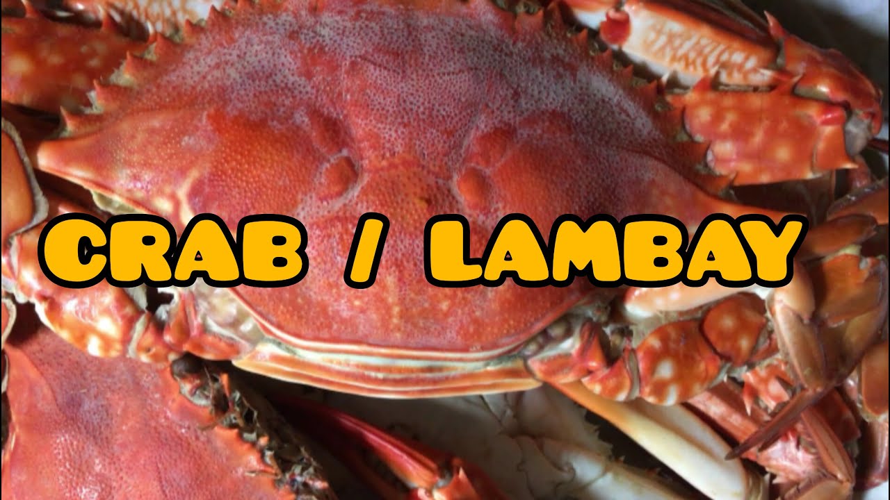 Cook blue swimming crab lambay aligue super lami ASMR #cook #crab # ...