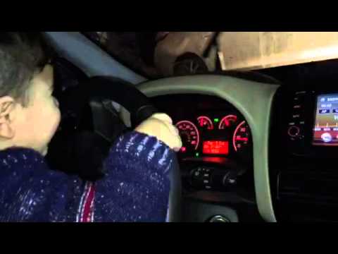 Yollarin efesi halasinin bitanesi