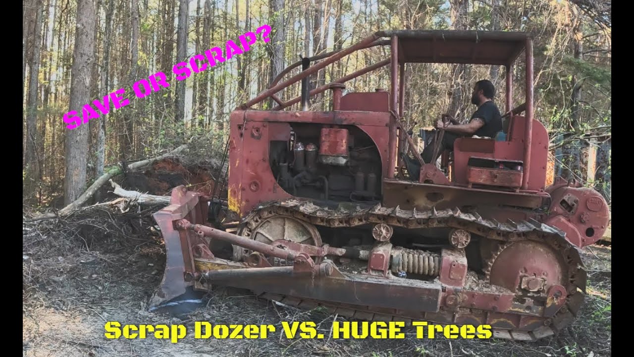 Save or Scrap? 1959 International Dozer vs. HUGE Trees! - YouTube