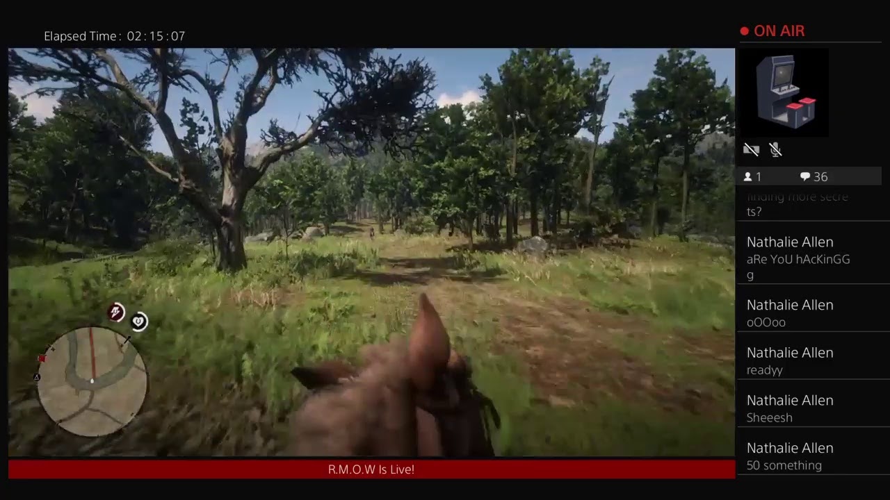 RDR2 SECRETS - YouTube