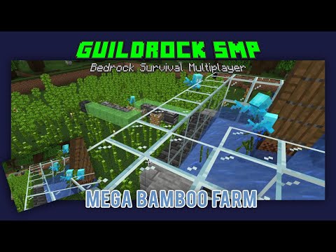 Massive Bamboo Farm: Allay Collection, Flying Machine Powered - GuildRock SMP Season 6 Episode 25
