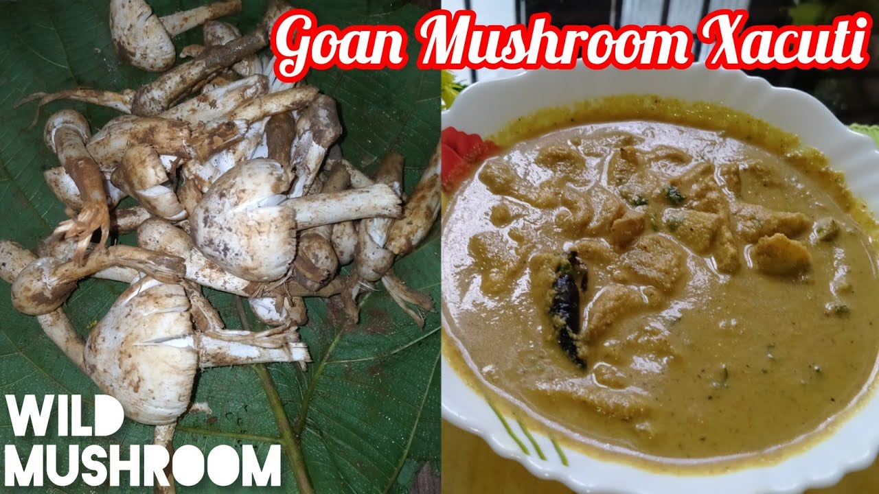 Goan Mushroom Xacuti | Goan wild mushroom xacuti recipe - YouTube