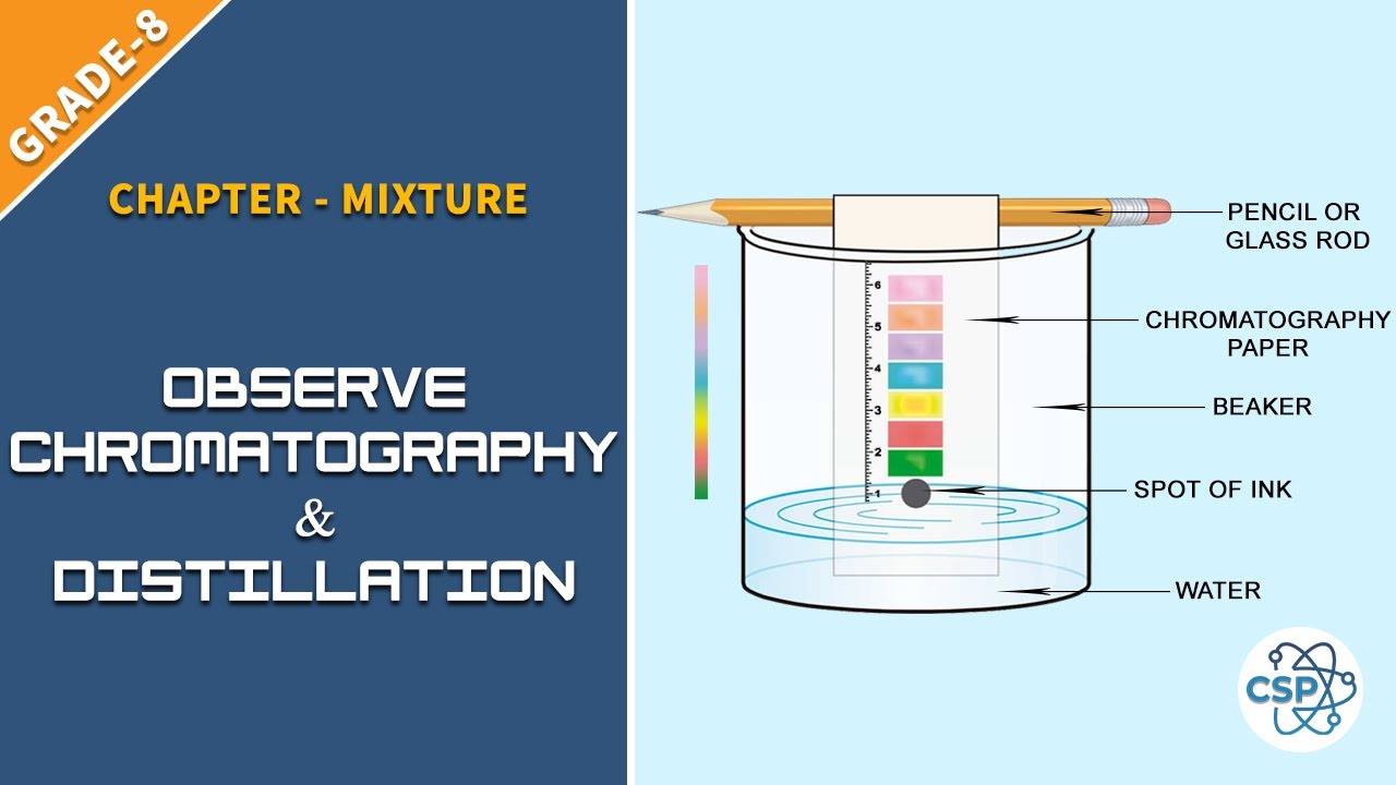 To Observe the Process of Chromatography & Distillation | BLE Class-8 ...