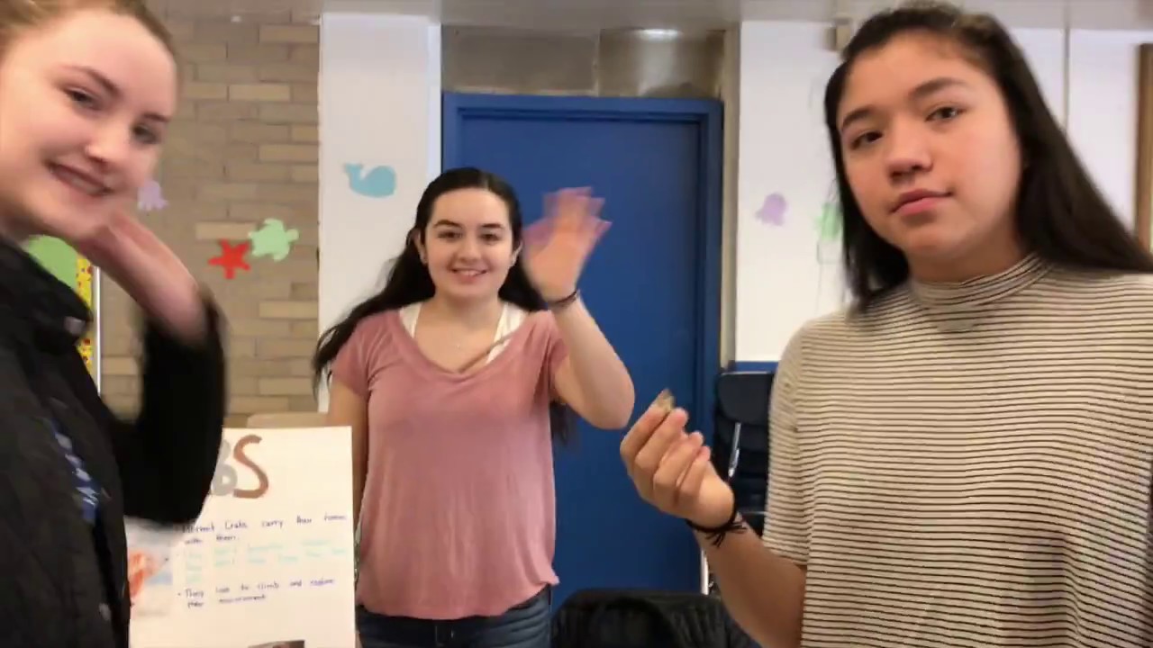 Marine Science Fair PLN YouTube marine-science-fair-pln-youtube