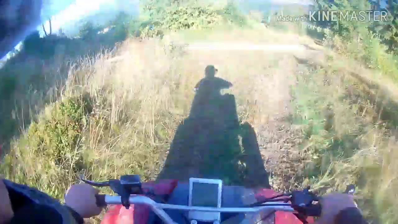Atv vlog %😎 - YouTube