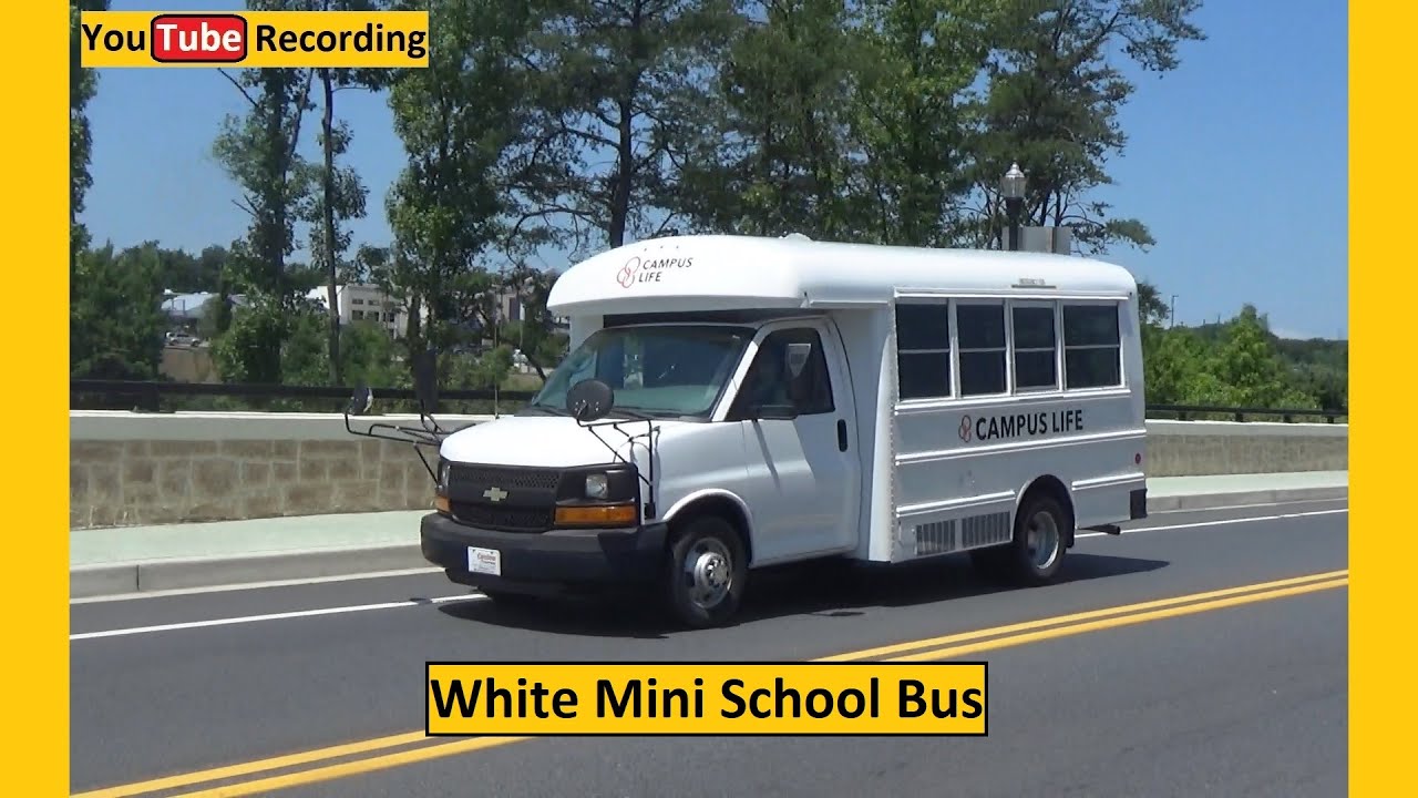 White Mini School Bus - YouTube Recording - YouTube