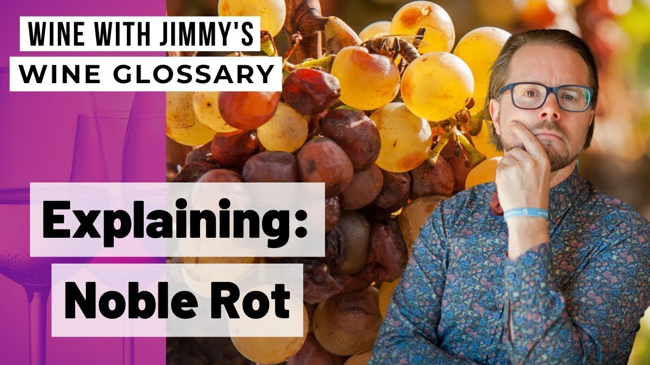 Watch this video to learn all about noble rot! - YouTube