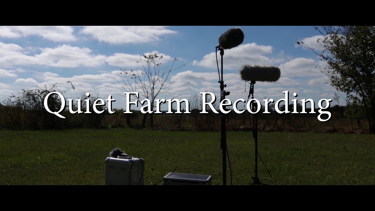 Quiet Farm Recording - YouTube