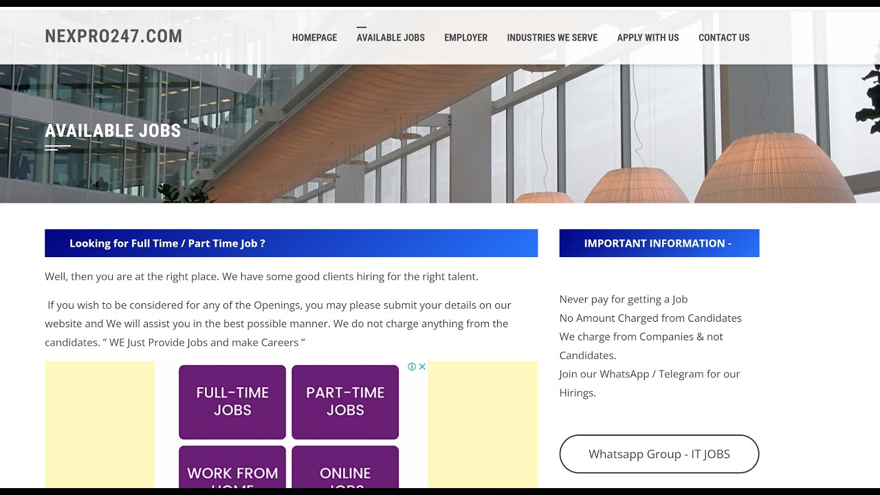 Software Engineer Job Opening at Nexpro247 | Freshers & Experienced ...