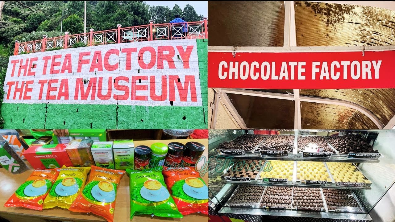ഊട്ടിയിലെ Tea Factory,Tea Museum And Chocolate Factory // Ooty Trip ...